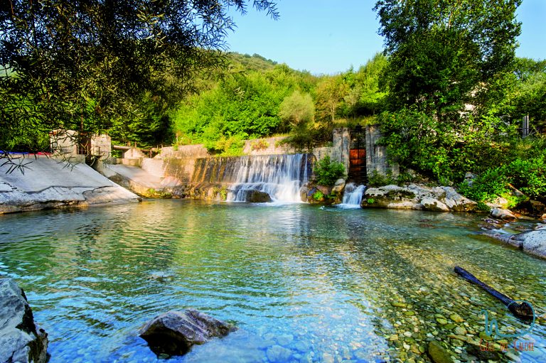 Sagra Del Fusillo Felittese 2019 - Pro Loco Felitto